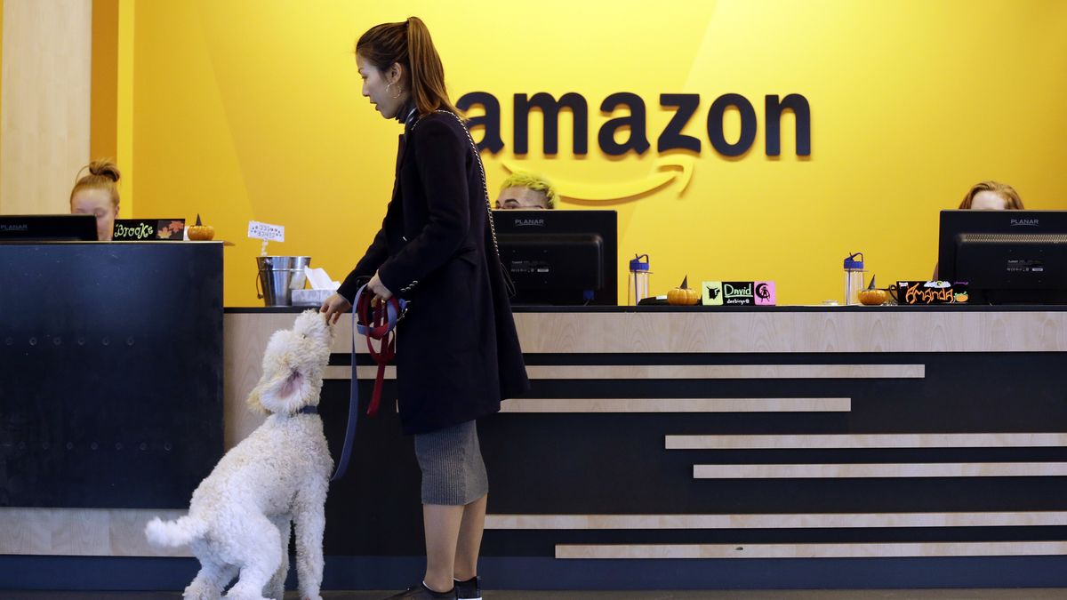 Amazon recibió 238 propuestas para su nueva sede