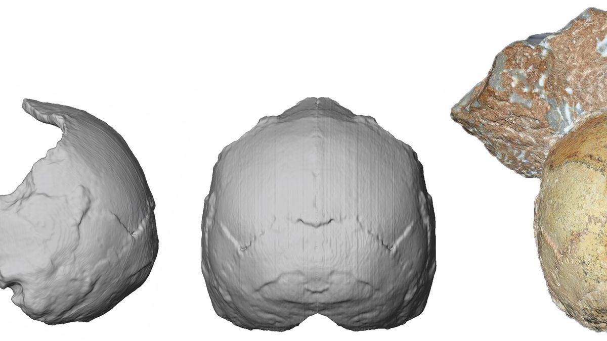 Reportan fósil humano en Grecia de hace 210.000 años