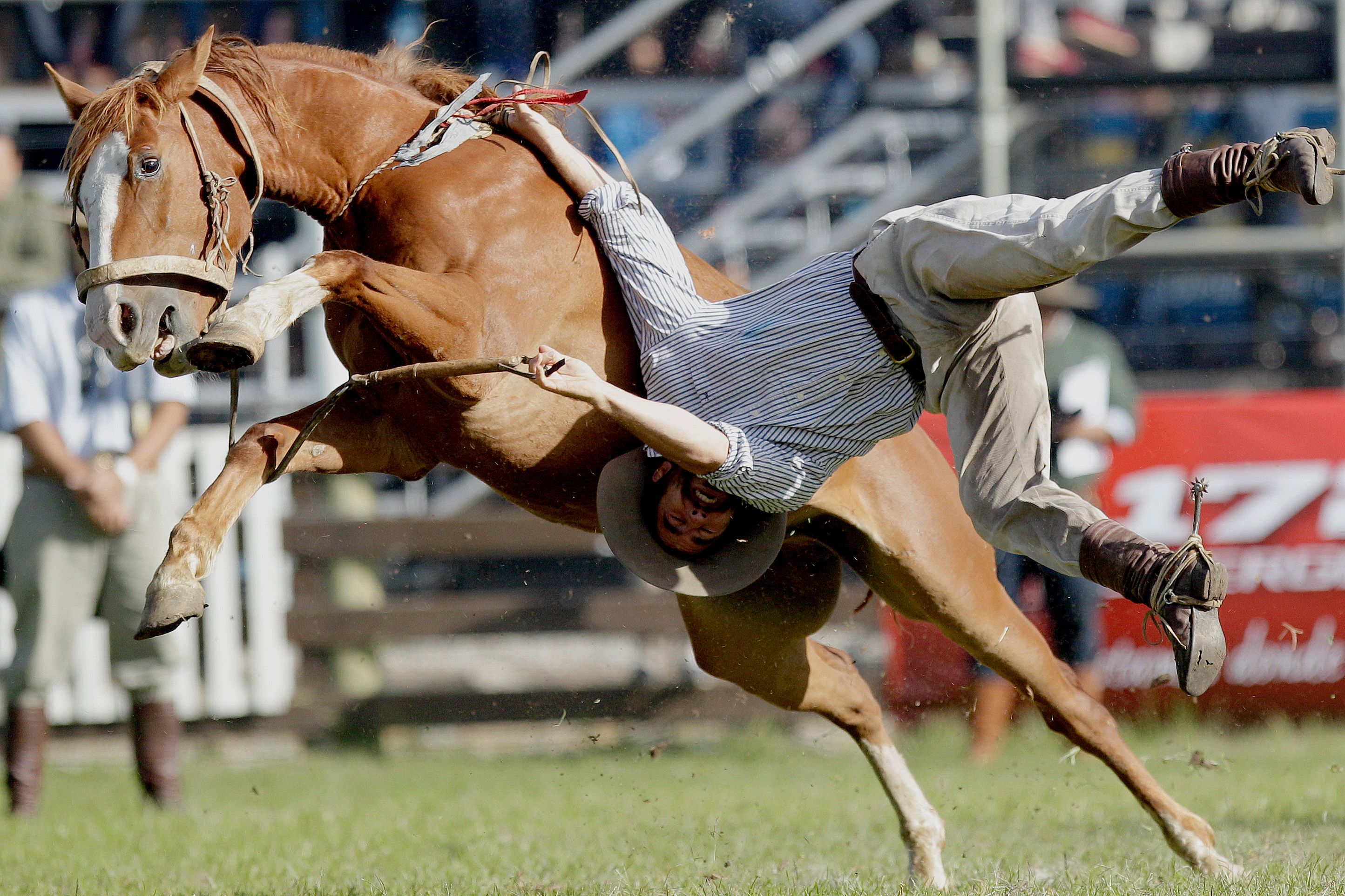 Jineteadas, el deporte que atrae a miles de uruguayos