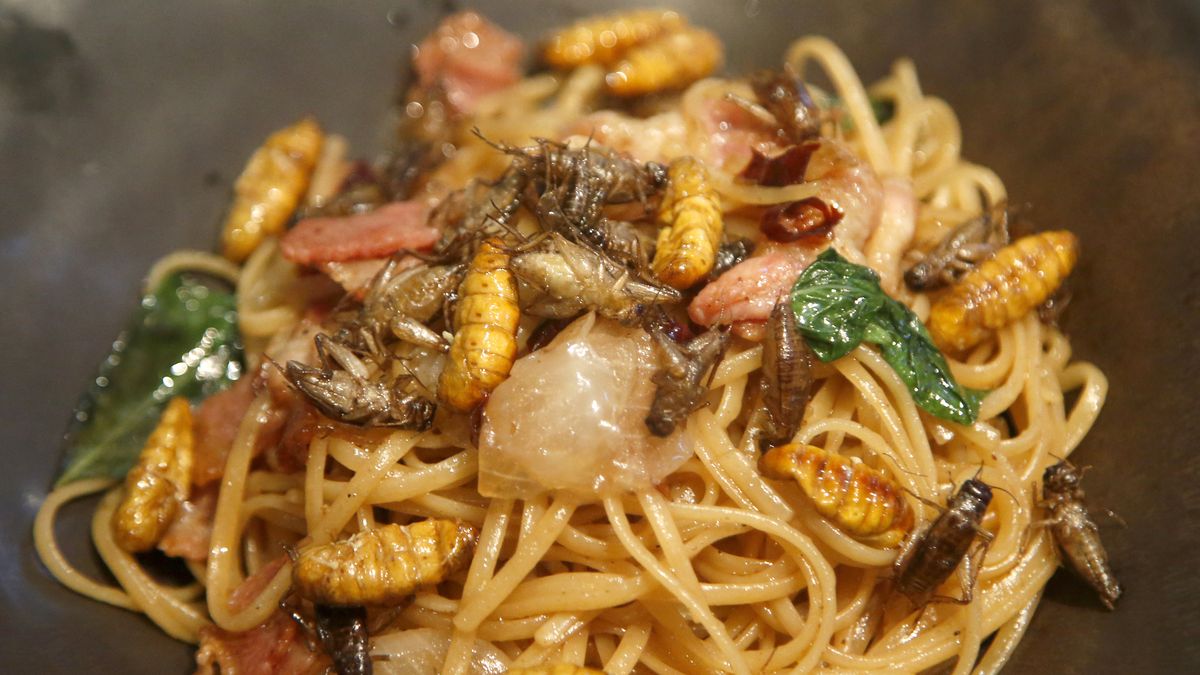 Los insectos se vuelven comida gourmet en Tailandia