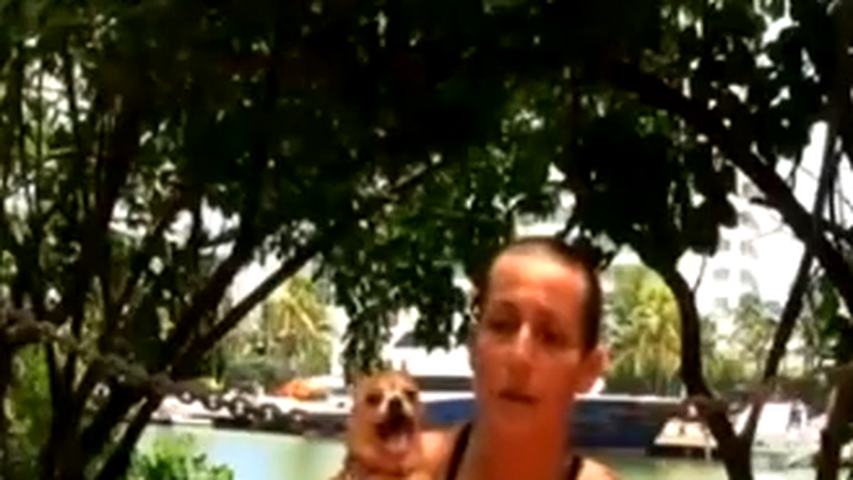 Abuso de animales en Hialeah