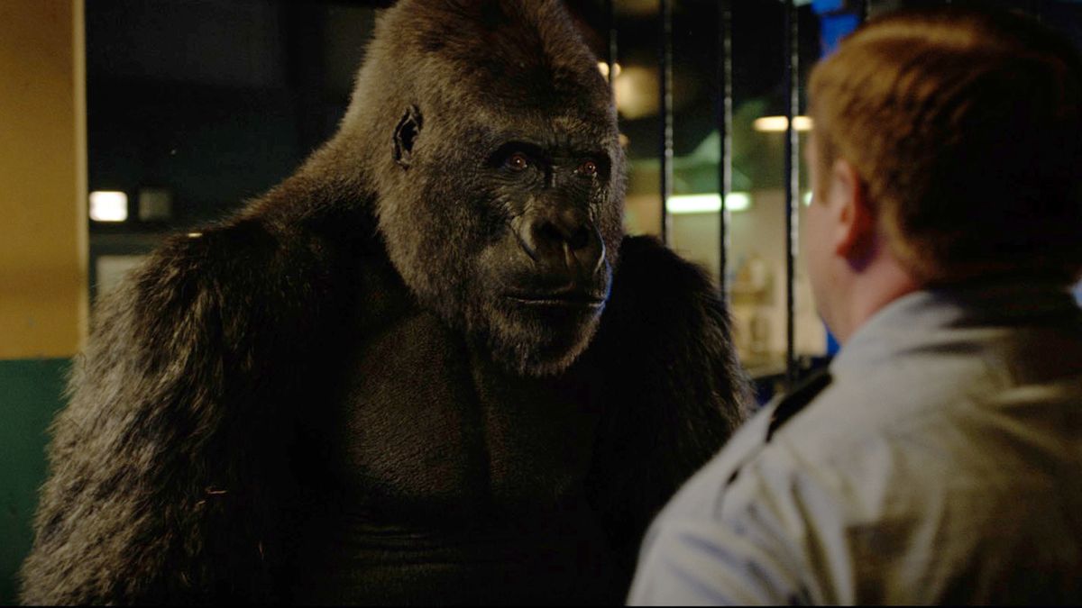 Reseña: “Ivan”, una parábola sobre derechos de los animales