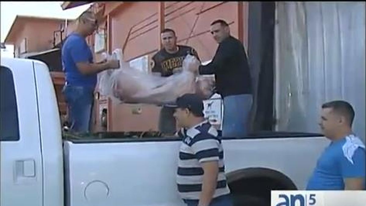 Navidad con el típico lechón asado