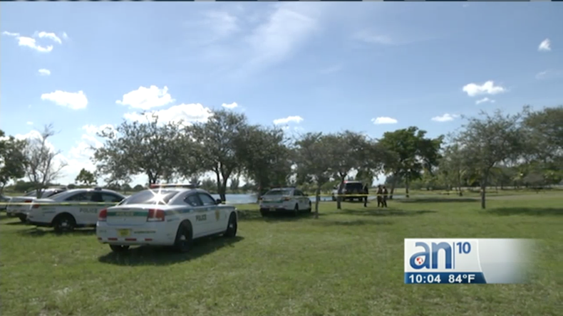 Una persona que estuvo a punto de ahogarse en el Parque Amelia de ...