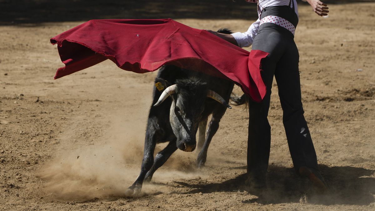 Defensores de corridas se acercan a jóvenes para sumar nuevos ...