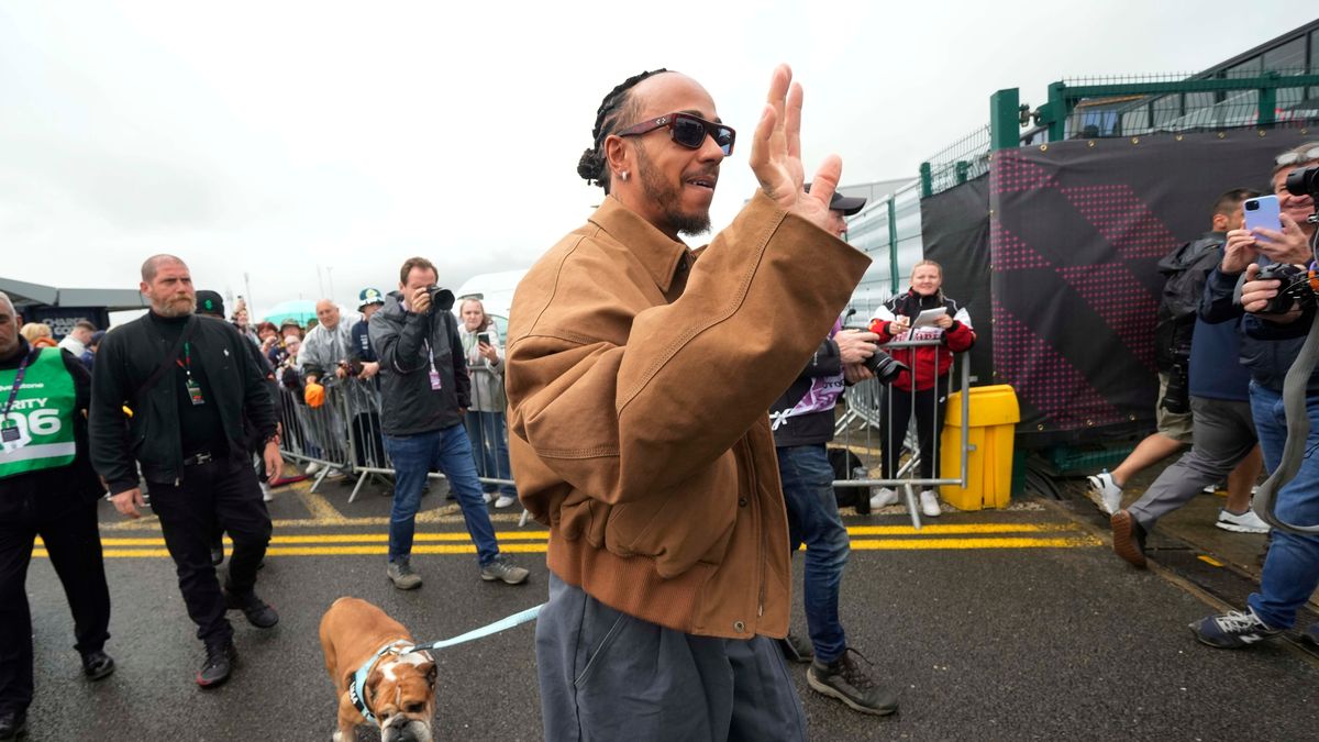 Lewis Hamilton dice que la muerte de su perro Roscoe es una de las ...