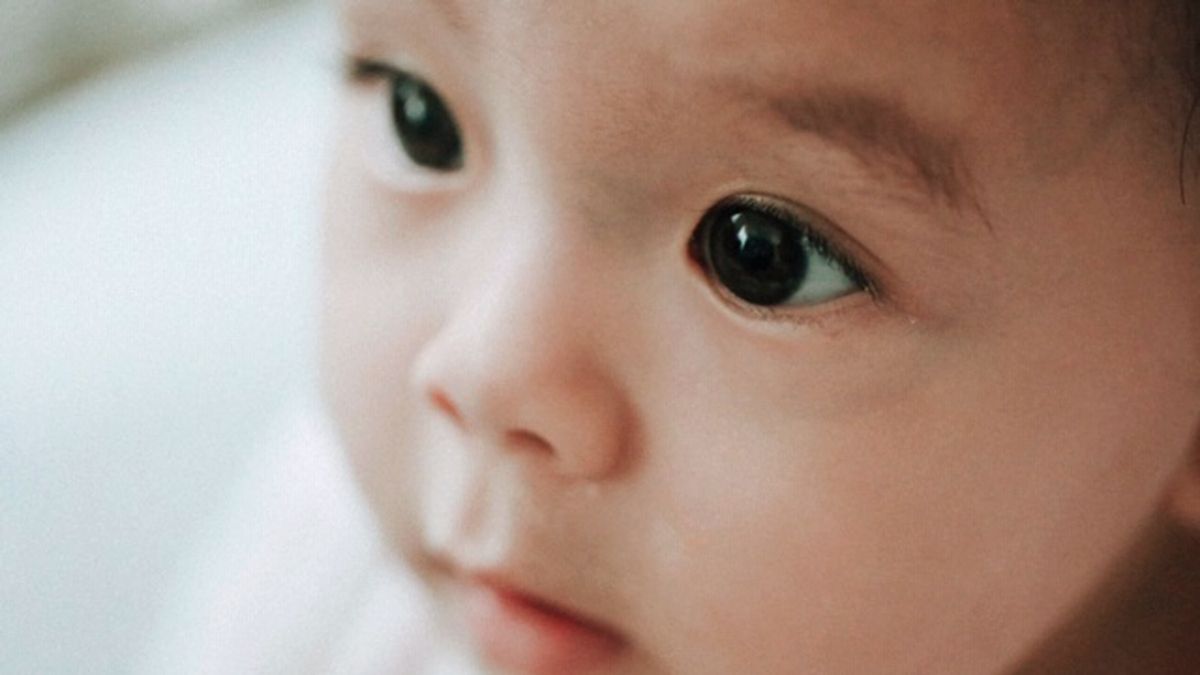 Bebé Gerber 2019 es una bebé hmong de Carolina del Norte