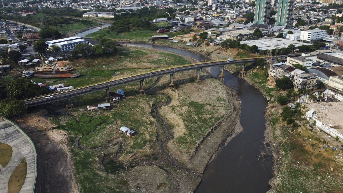 Dramáticas imágenes muestran la magnitud de la sequía en Amazonia y sus ...