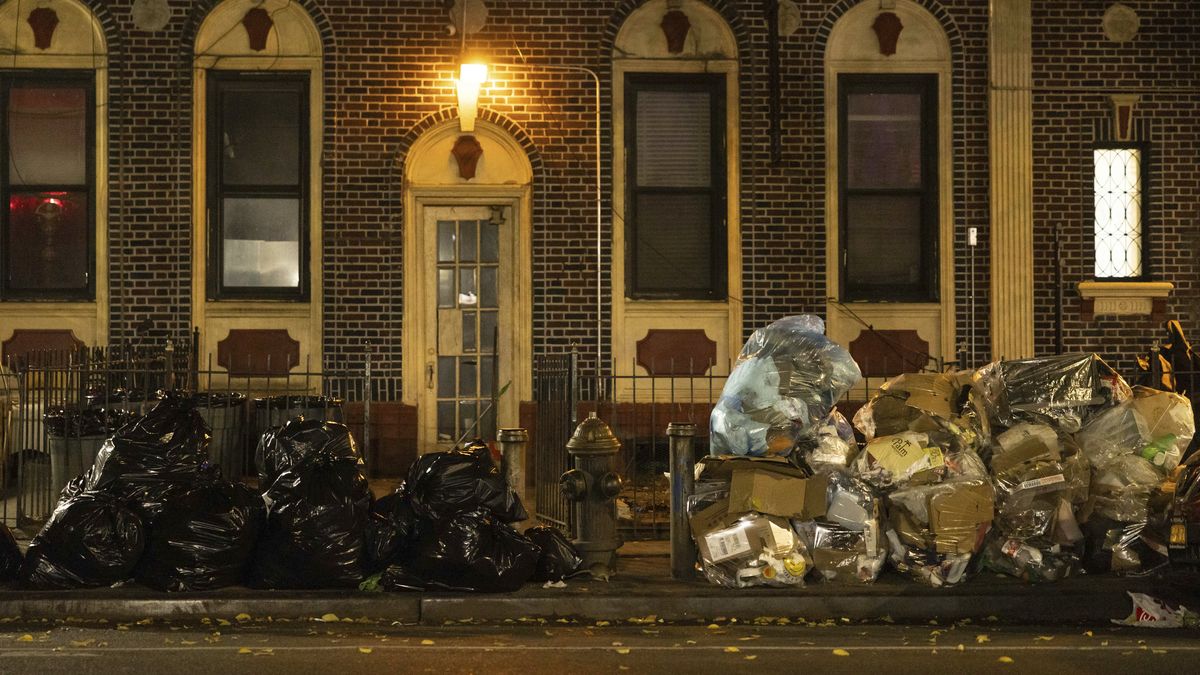 Las ratas se dan un festín con la basura en Nueva York ¿Se solucionará ...