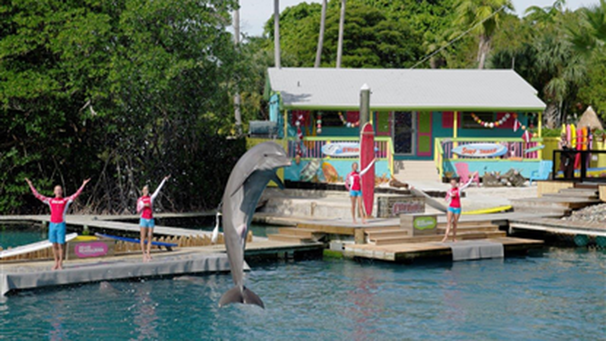 Flipper celebra 50 años en el Seaquarium de Miami