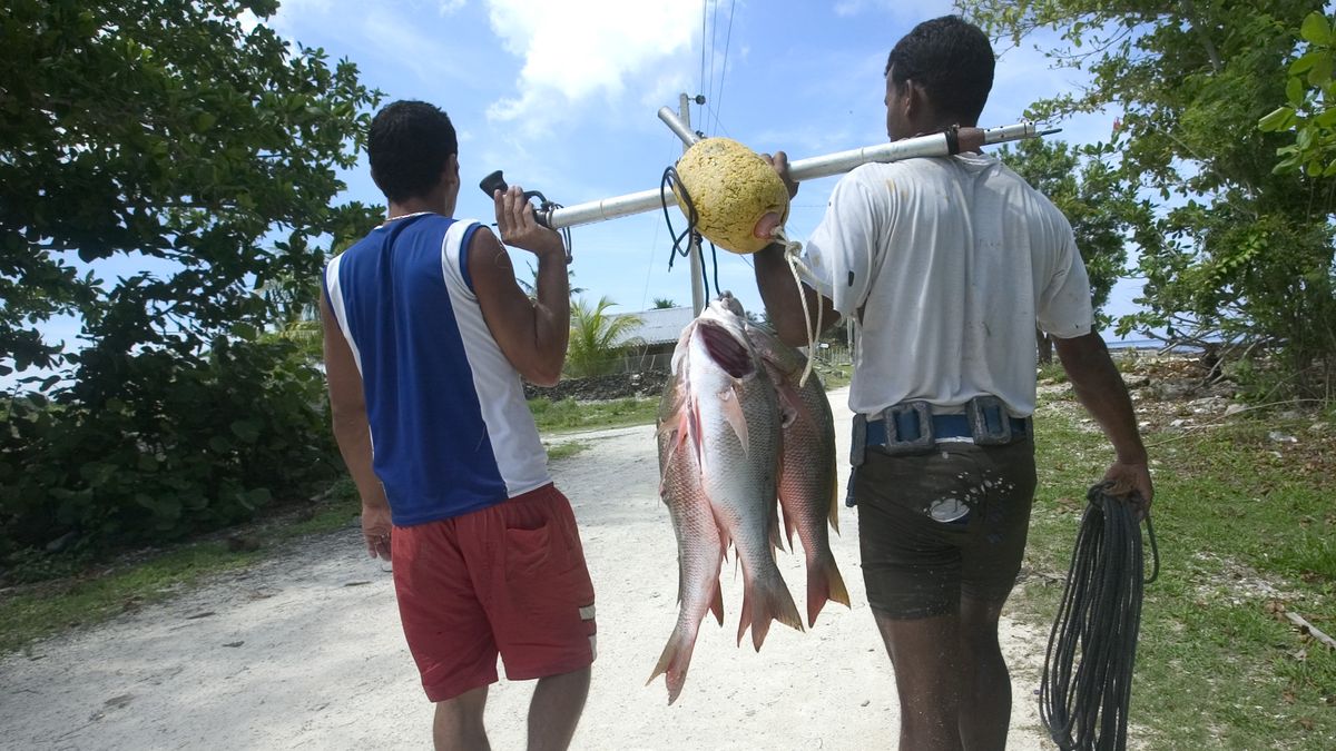 El lujo de comer pescado en una isla llamada Cuba