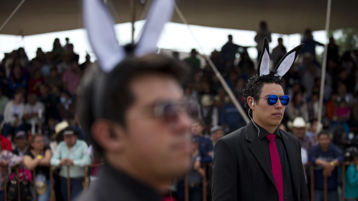 Un pueblo mexicano celebra un festival centrado en burros