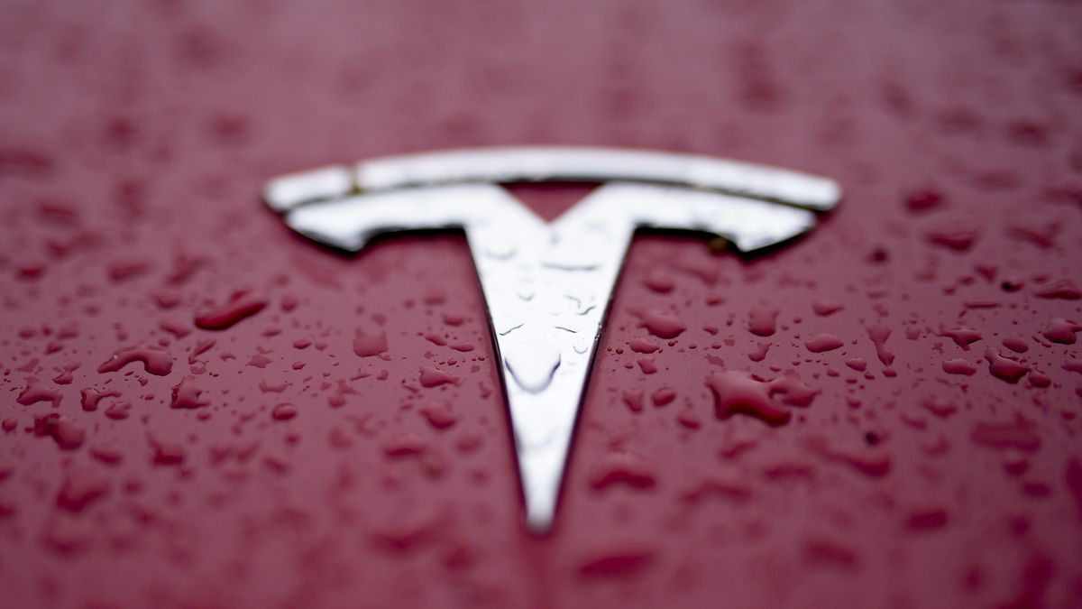 Tesla presenta su robotaxi, aunque fanáticos de la marca deberán ...