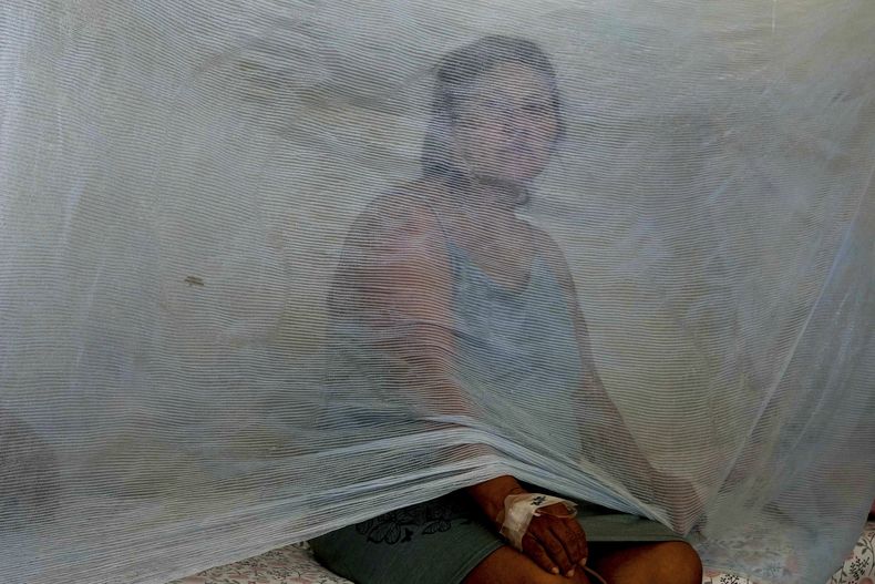 El dengue avanza en Perú en zonas pobres con carencia de agua y ante ...