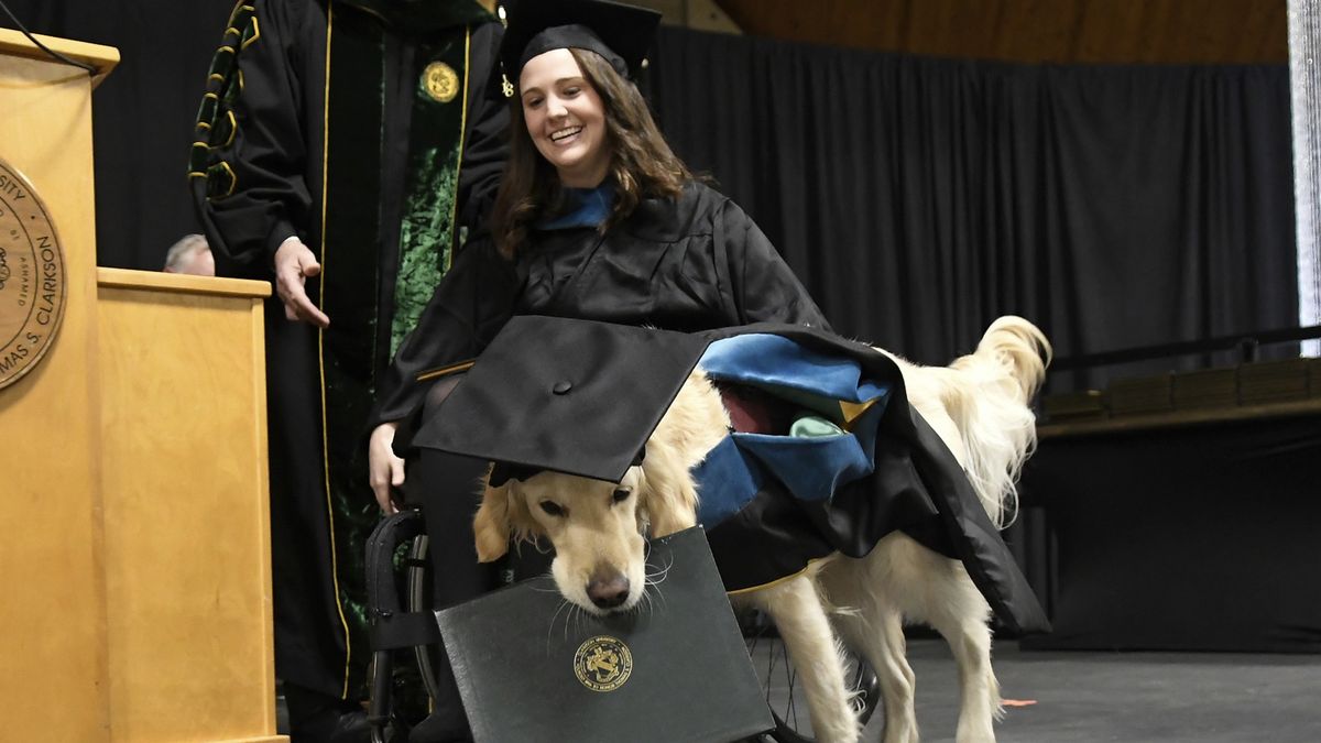 Perro de servicio recibe diploma de maestría en Nueva York