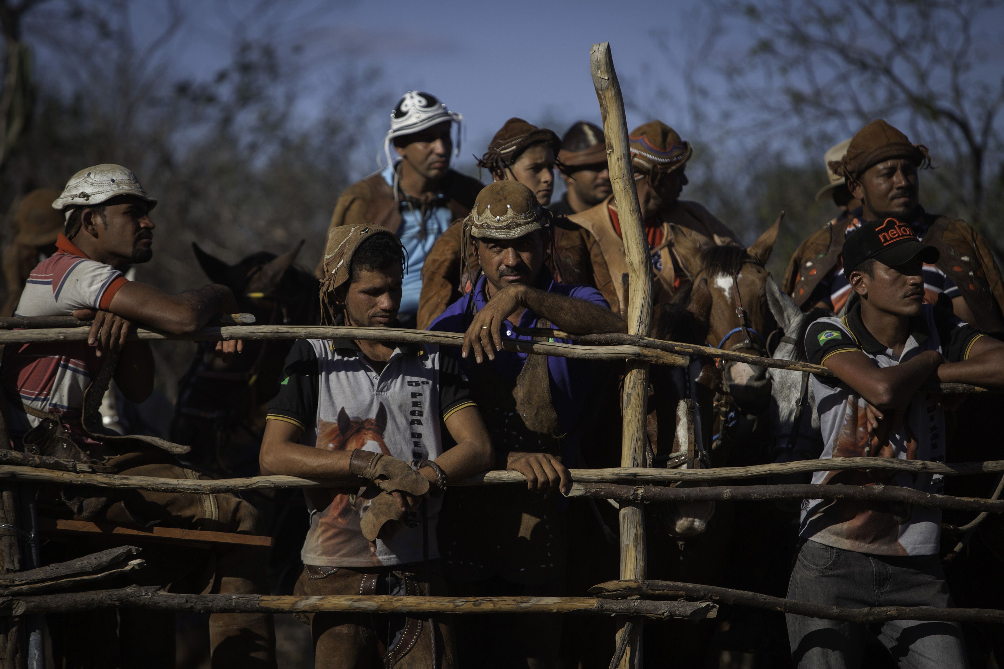 AP Fotos: Vaqueros brasileños lidian con toros