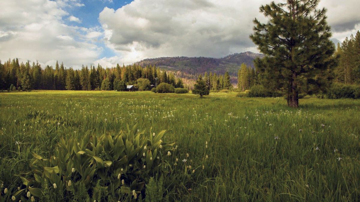 Donan 160 hectáreas para ampliar el parque Yosemite