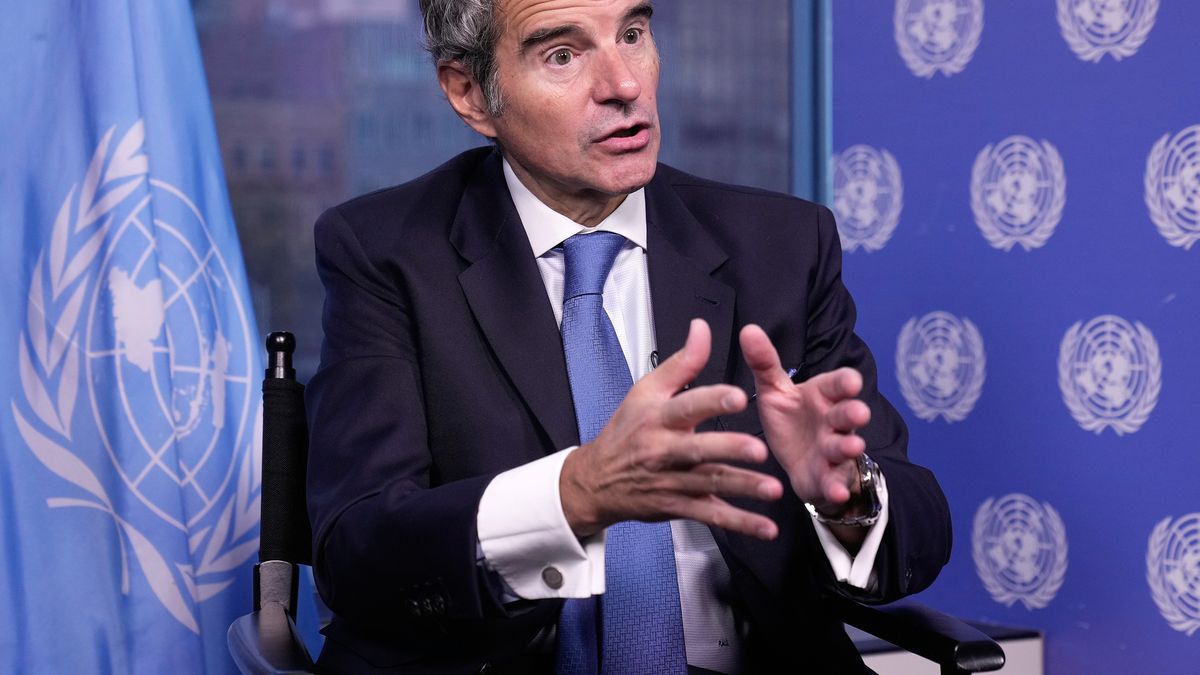 Argentina postula al titular de la OIEA Rafael Grossi a la secretaría ...