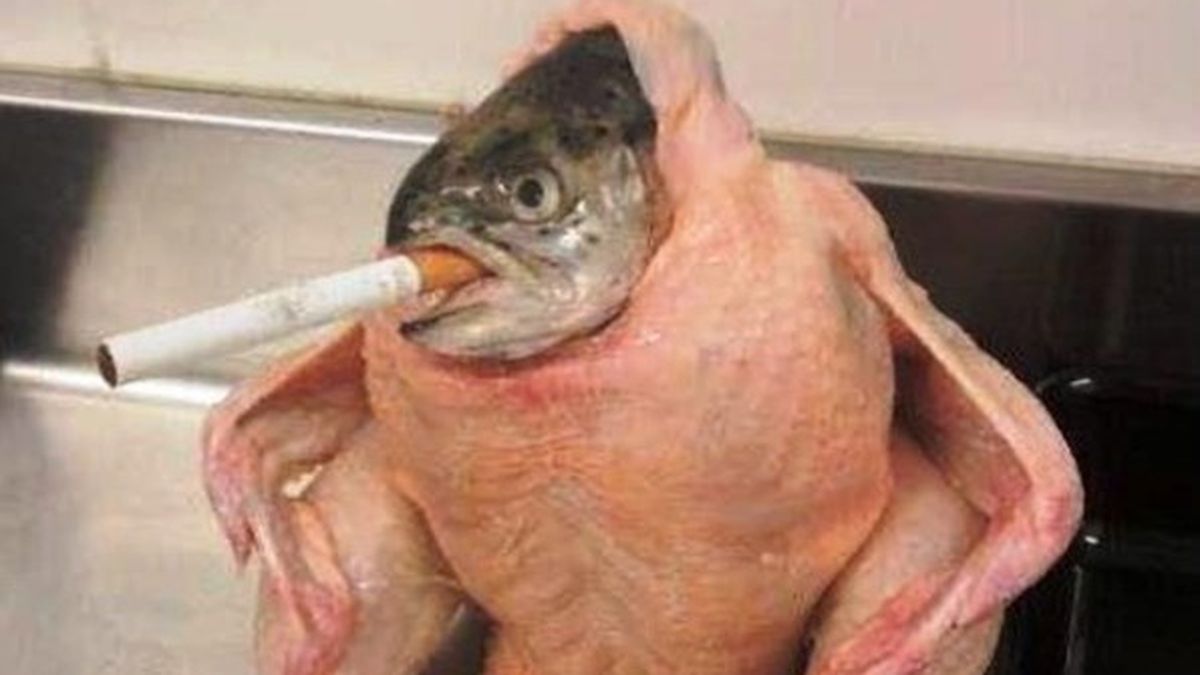 Pescado por pollo, gracias a Pánfilo