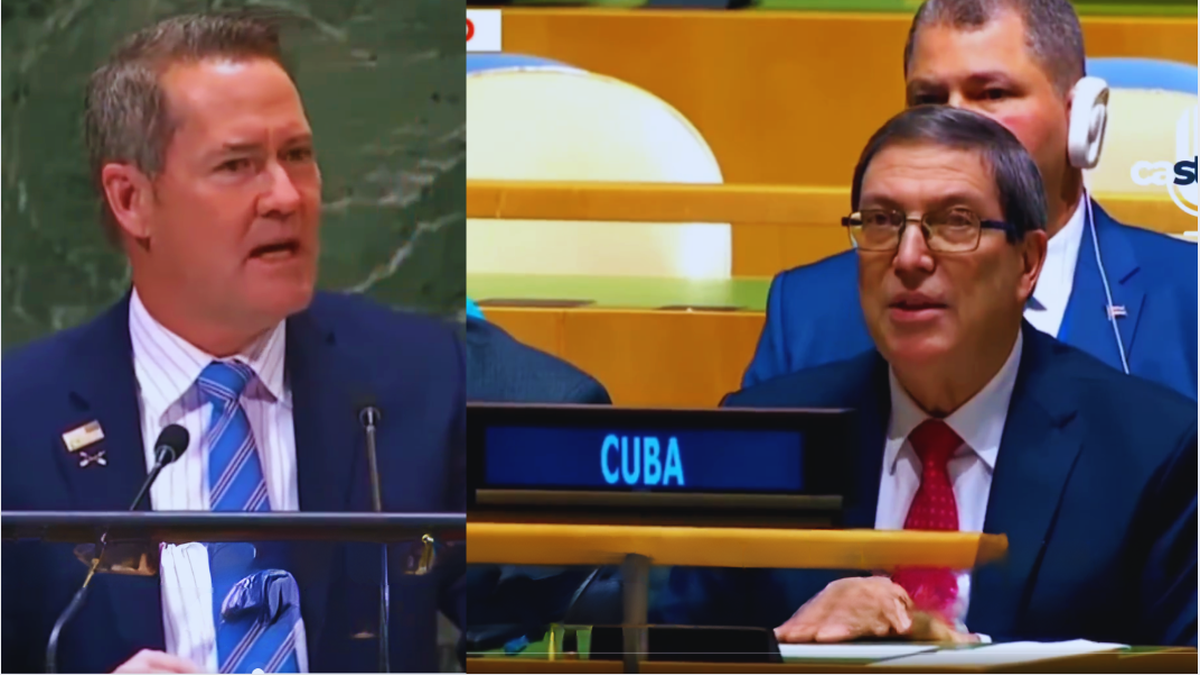 Mike Waltz enfrenta a Bruno Rodríguez en la ONU y acusa al régimen ...