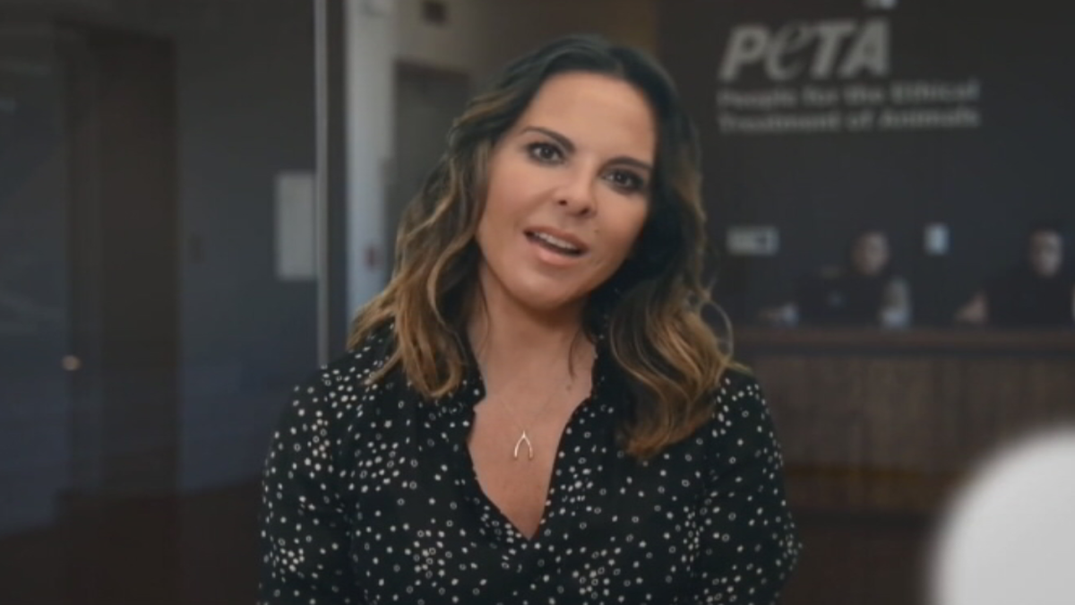 Kate Castillo pide liberación de Orca Lolita y habla sobre Trump